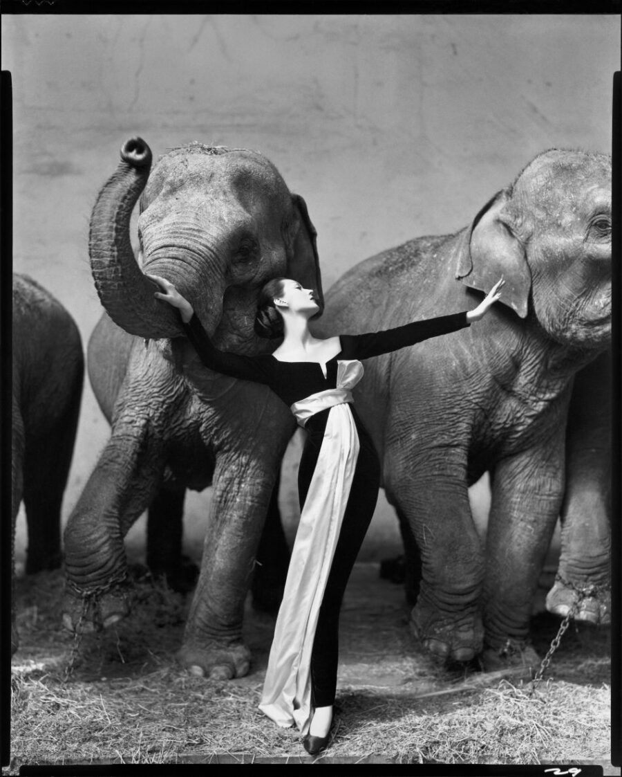 Iconic Avedon, l'exposition qui célèbre le centenaire de la naissance ...